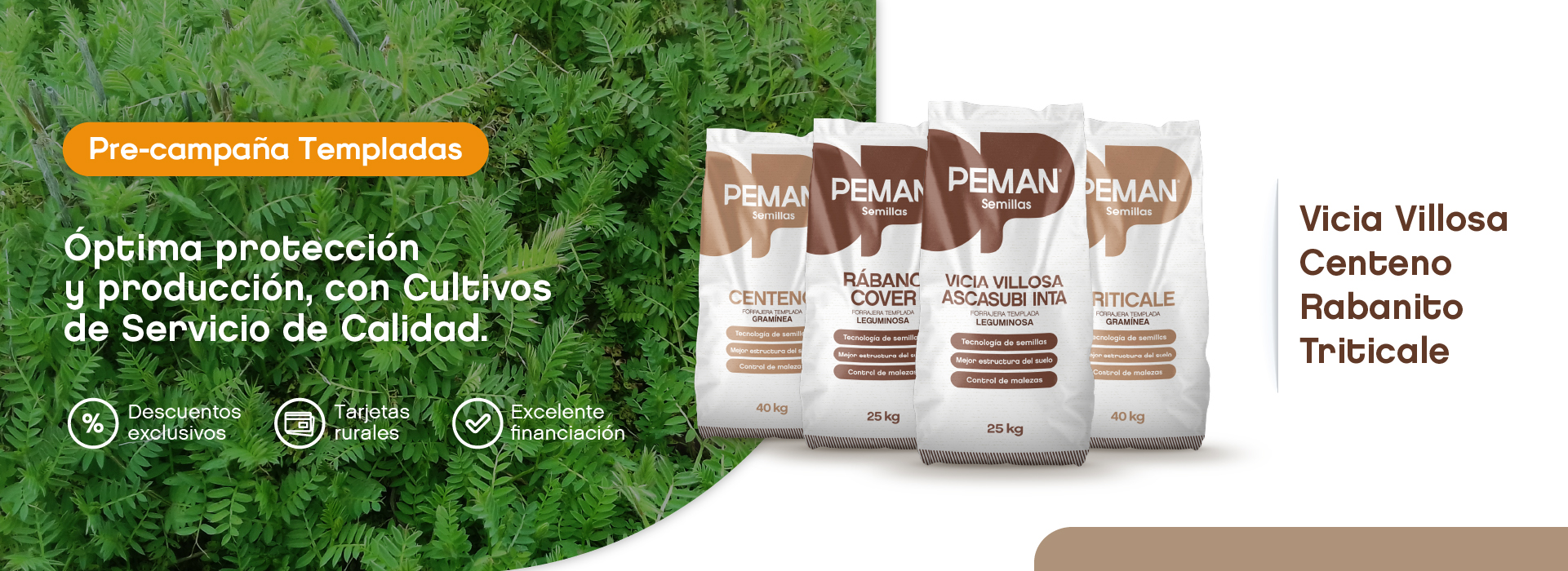 Peman | Home